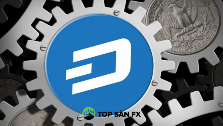 Đồng Dash là gì - Cách kiếm Dash dễ dàng